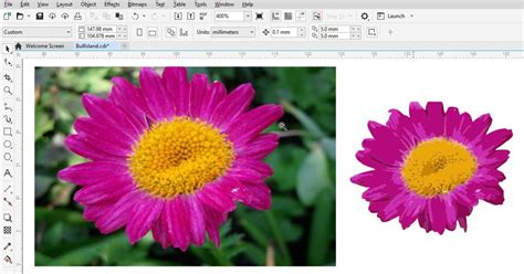 How To Make Clipart From A Photo Corel Discovery Center