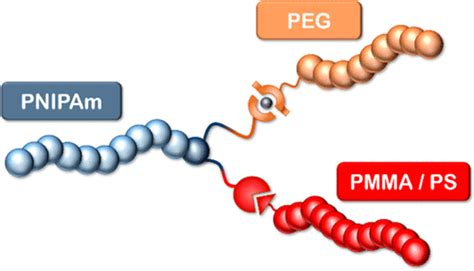 One Pot Synthesis Of Miktoarm Star Polymers Based On Orthogonal Metalligand Interactions Acs