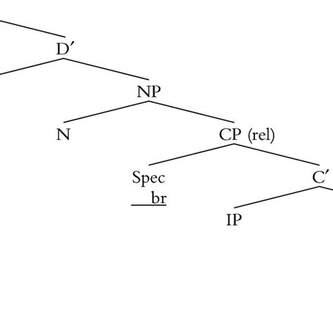 Tree Showing Relative Clause As D CP With Location For External Head Download Scientific Diagram
