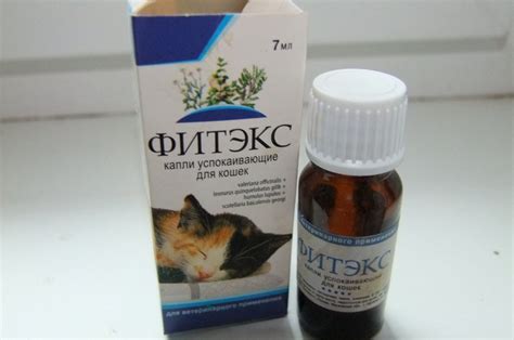 Снотворное для кошек: препараты, формы выпуска