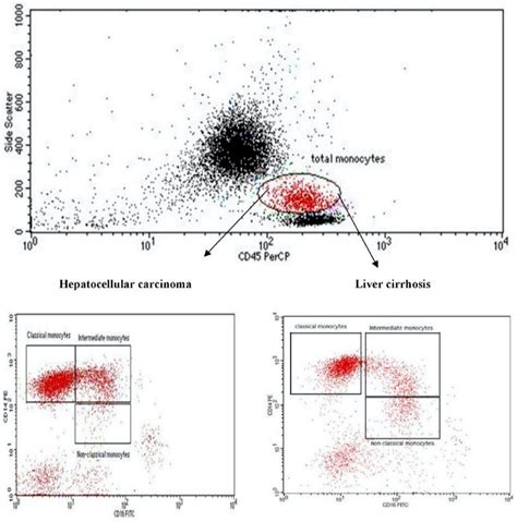 Gating Strategy For Detection Of Monocytes Subsets In Hcc Group Lower Download Scientific