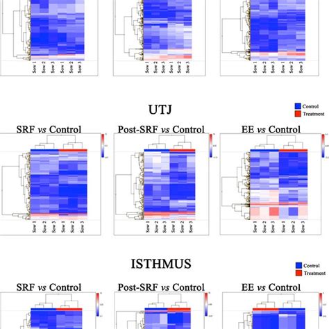 Hierarchical Clustering Of The Differentially Expressed Micrornas
