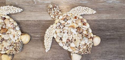 Seashell Turtle Shell Turtle Seashell Wall Decor Beach Etsy