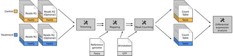 The Workflow For Analyzing RNA Seq Data The Workflow Tolerates Download Scientific Diagram