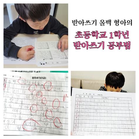 받아쓰기 올백 받는 형아가 알려주는 초등학교 1학년 받아쓰기 공부법 네이버 블로그