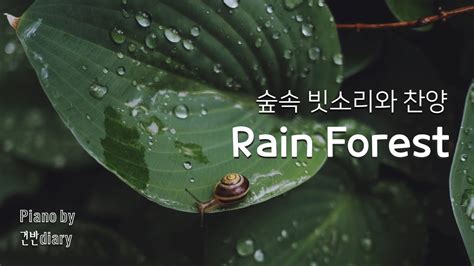 빗소리와 찬양 찬양모음 빗소리 Ccm Piano Rain Forest Pray Rest Youtube