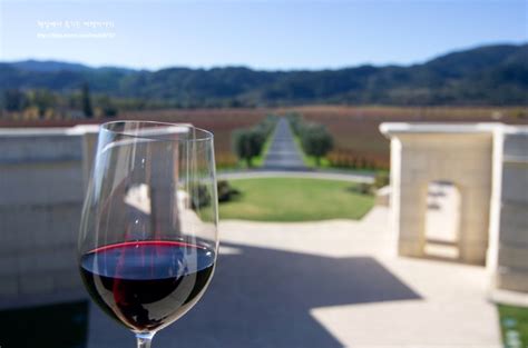 샌프란시스코 여행 나파밸리 와이너리 투어 네이버 블로그