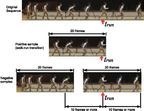 Sampling Positive And Negative Subsequences From A Whole Sequence Download Scientific Diagram