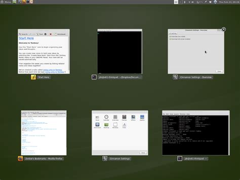 Debian Server Hands On With The Cinnamon Desktop