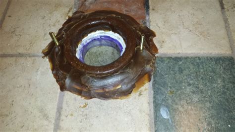 Tree Roots In Toilet Drains Are Dangerous Robinson S Plumbing Service