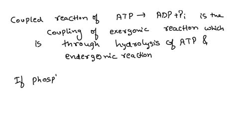 Solved Explain Why The Coupled Reaction Atp → Adp Pi In The P Class