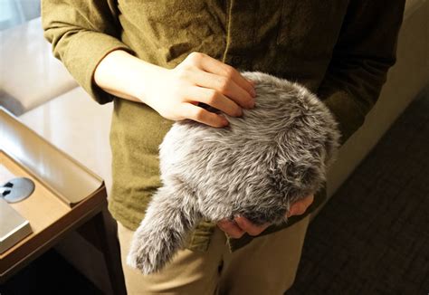 Qoobo Un Innovador Robot Para Quienes No Pueden Tener Una Mascota