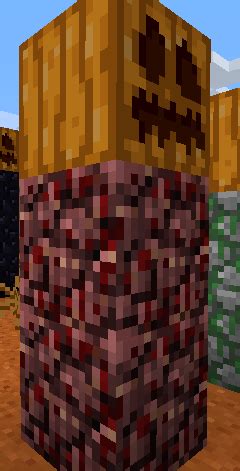 Totem Spawn Minecraft Bukkit Plugins CurseForge