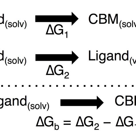 Thermodynamic Cycle Used To Determine Ligand Binding Free Energy From