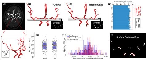 Figure 1 From Automatic Segmentation Feature Extraction And Comparison