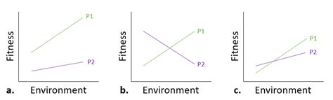 example fitness functions only b and c show a fitness tradeoff