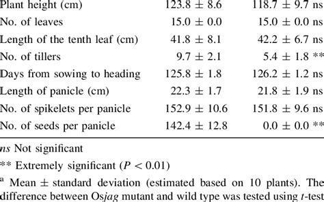 Phenotypes Of Some Agronomic Traits In Osjag Mutant And Wild Type
