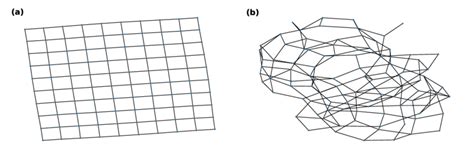 Illustration Of The Lattice Small World Transition Model For A P 0