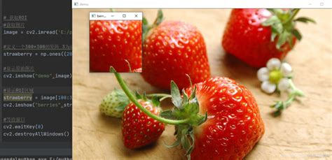 Python Sar图像 Python 图像分析mob6454cc63081f的技术博客51cto博客
