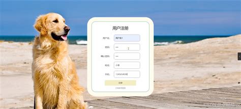 springboot java php node python面向爱宠人群的宠物资讯系统【计算机毕设】 csdn博客