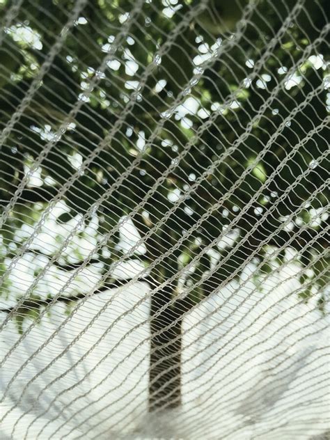What Is Tencel? - The Good Trade