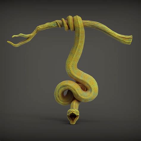 3d Printable Green Tree Python By Alexander3dart