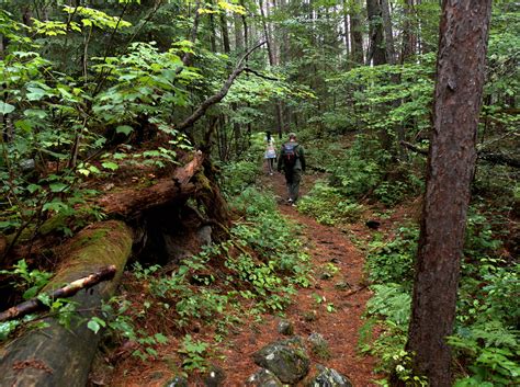 Samuel De Champlain Provincial Park 2020 9  Mike Wajngarten Flickr