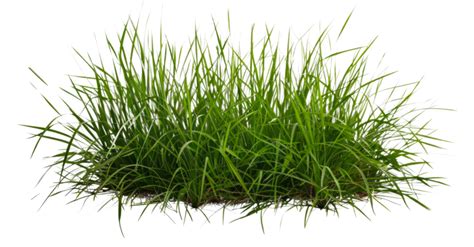 Grass Landscape PNGs For Free Download