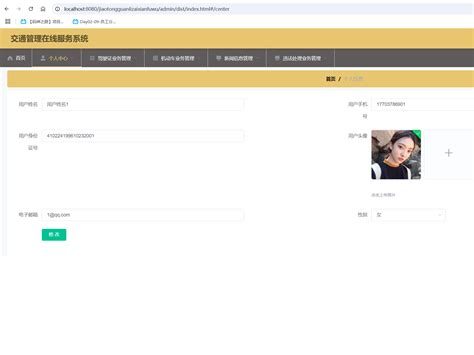 基于java springboot的交通管理在线服务系统 csdn博客