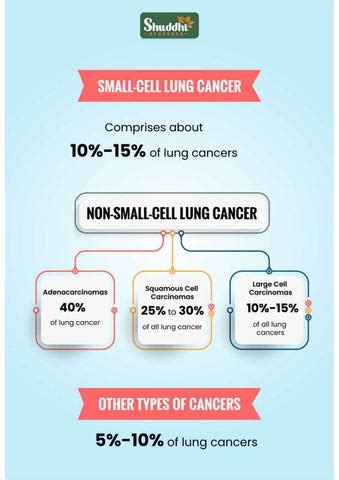 Lung Cancer Types By Shuddhi Lungcancer Issuu