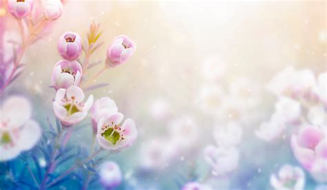 主題單字Spring to life 個實用春天諺語 Engoo線上英文