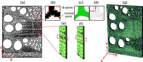 Meso Scale Model Procedure For The Generation Of The Meso Scale Unit Download Scientific