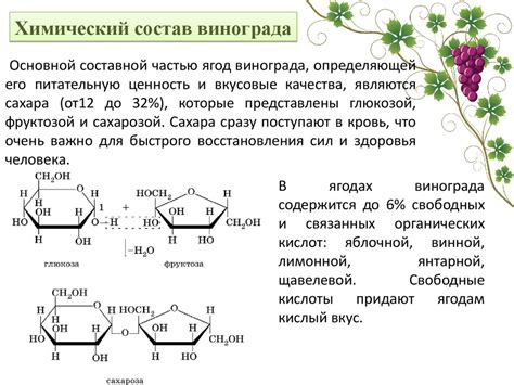 Виноград и его лечебные свойства - online presentation
