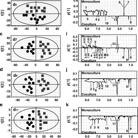 Pca Score Af And Loading Plots Gl Derived From The 1 H Nmr