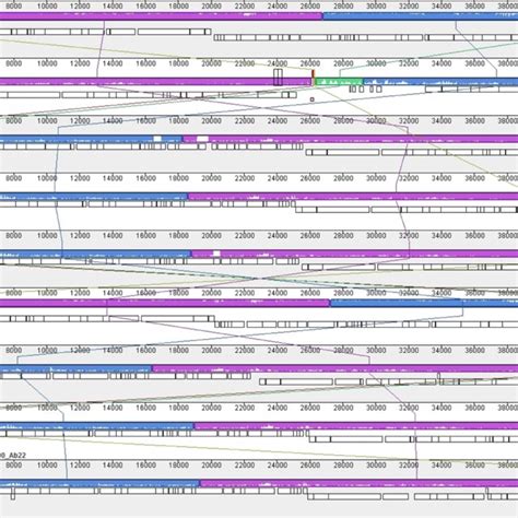 Multiple Genome Alignment Generated By Mauve Software Download