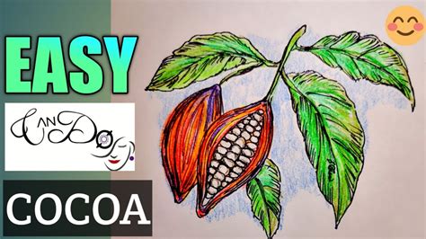 Cocoa Bean Drawing Easy At Blake Pardey Blog