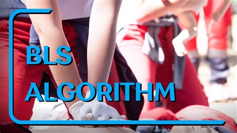 BLS Algorithm Your Guide To Basic Life Support Steps