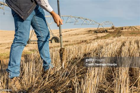 Farmer Extracting A Soil Sample From The Ground To Analyze The Soil