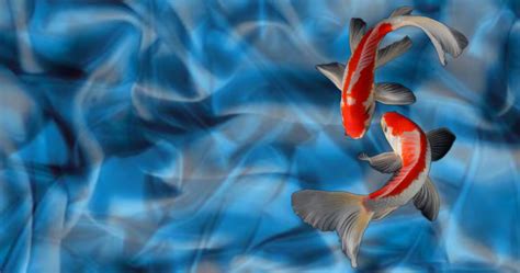 Digimom Digimom Added A New Photo