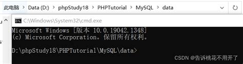 Cmd，powershell，的字体颜色永久改变，；以及两者不同打开方式和其各自的区别。power Shell 永久改变字体 Csdn博客