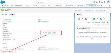 Custom Links In Salesforce