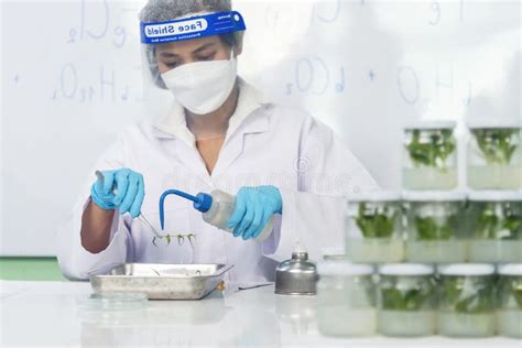 Biochemistry Asian Scientist Women Working Plants Tissue Culture