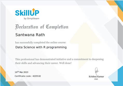 Rprogramming Certification Dataanalytics Professionaldevelopment