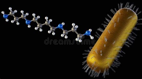 Gold Nanorod Stock Illustrations 12 Gold Nanorod Stock Illustrations Vectors And Clipart