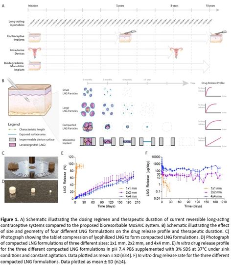 Polyscitech Technical Blog Polylactide From Polyscitech Used In Development Of Long Term