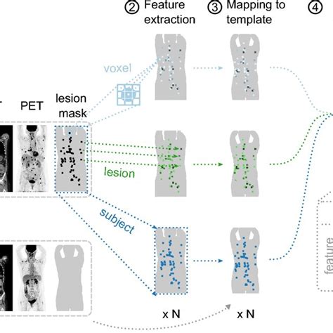 Illustration Of Method Used To Generate Lesion Feature Maps In Template Download Scientific