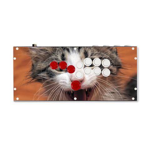 Lol Cat Skin For Hit Box Ps4 Pc — Mightyskins