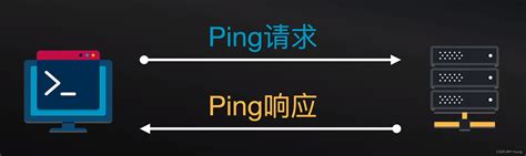 理解ping命令 Csdn博客