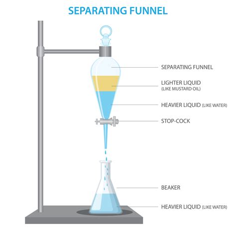 Separating Funnel Used To Seperate Two Immiscible Solvent Phases Vector Illustration 20240678