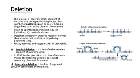 Deletion And Duplication Of Chromosomes Pptx Genetics Science